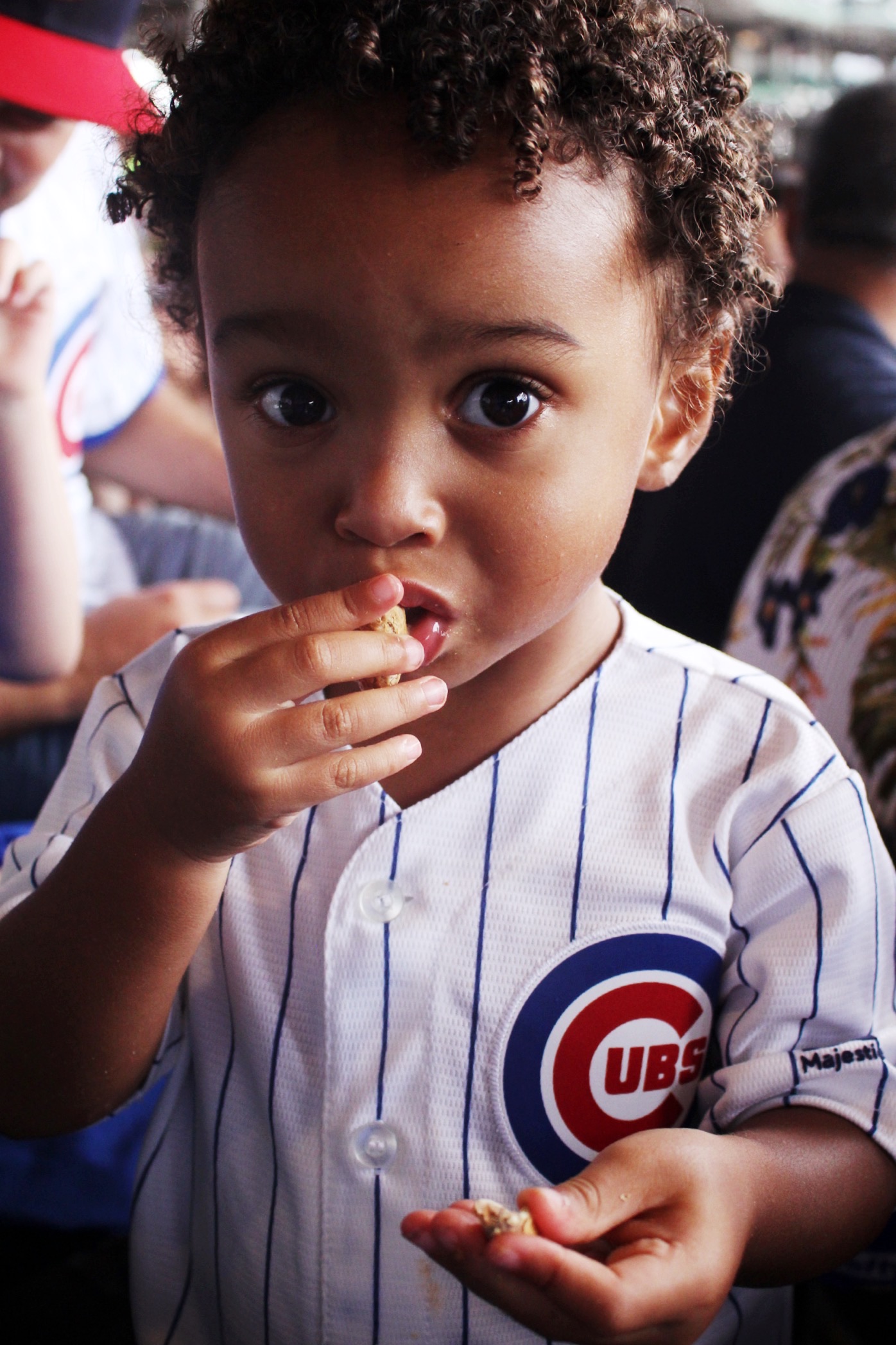 Chicago With Kids