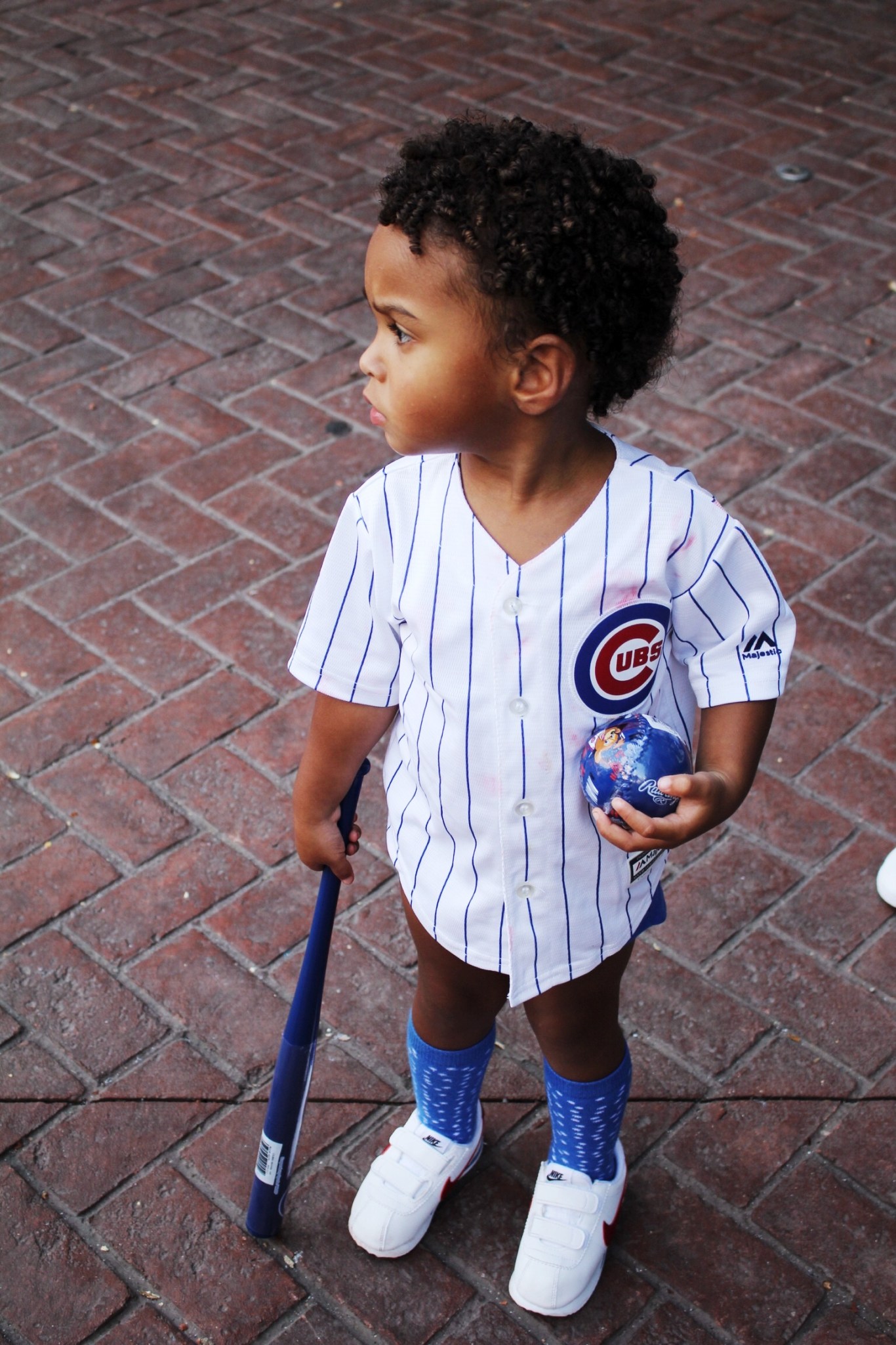 Chicago With Kids